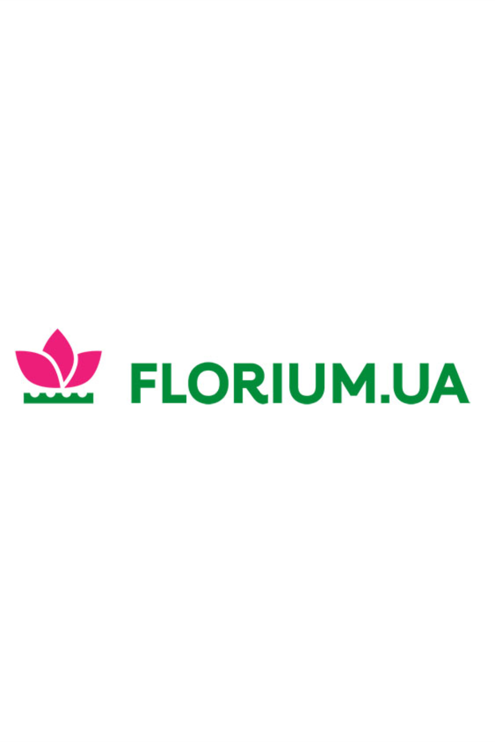Florium.Ua: Гортензия Little Blossom (саженцы) -40% – iLovehotdealz